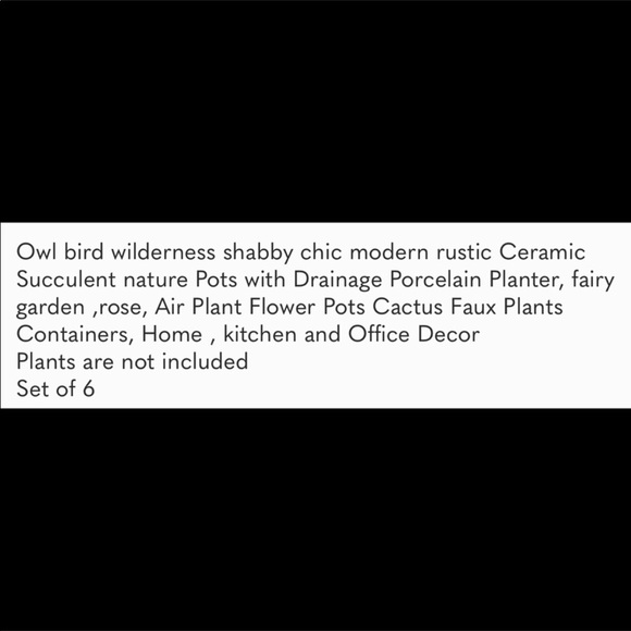 Owls | Accents | Boho Western Flower Ceramic Succulent Pots Set | Poshmark